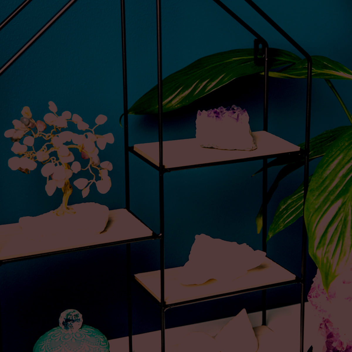 Decor – Sage & Magic