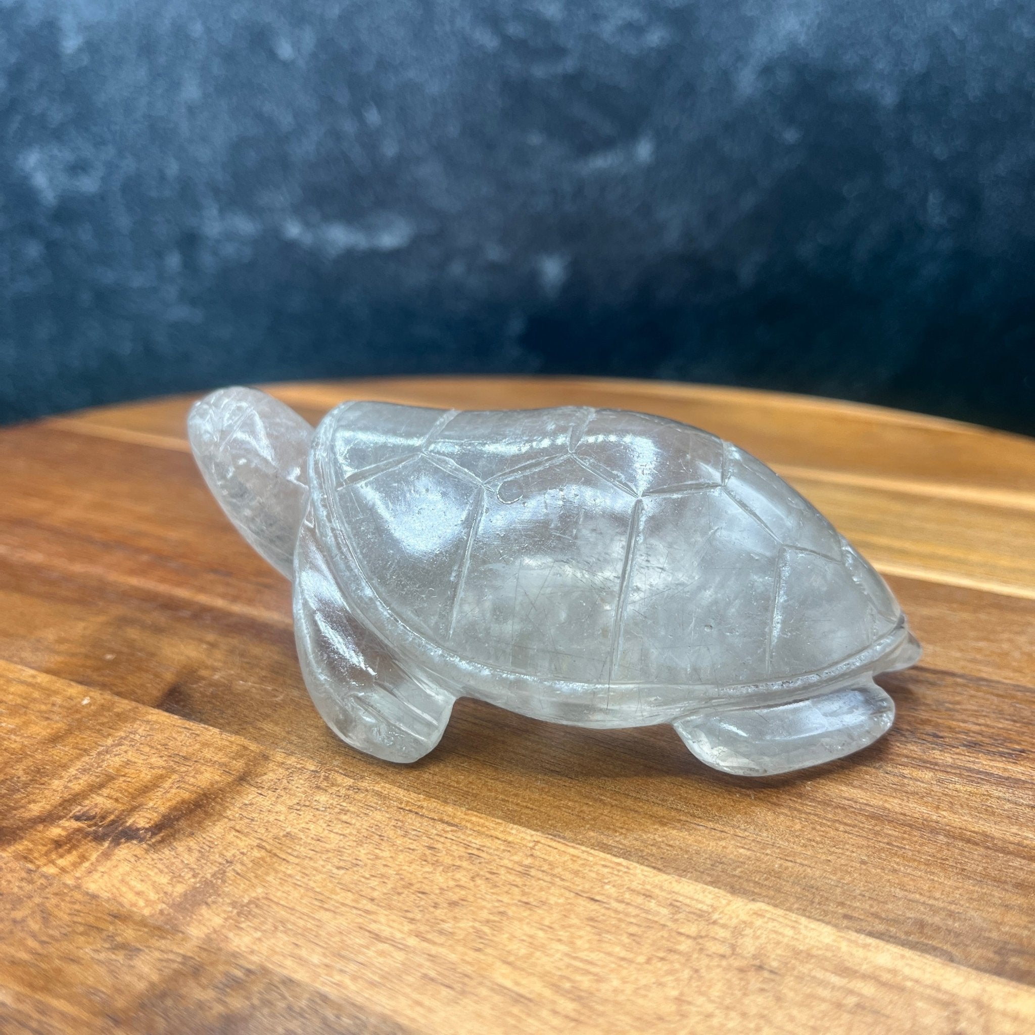 Silver Rutile in Quartz Turtle - Crystals - Sage & Magic
